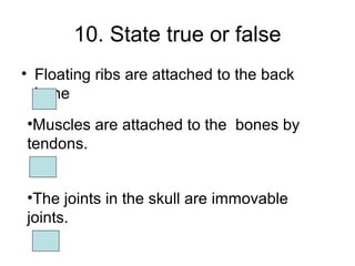 The skeletal and muscular system | PPT