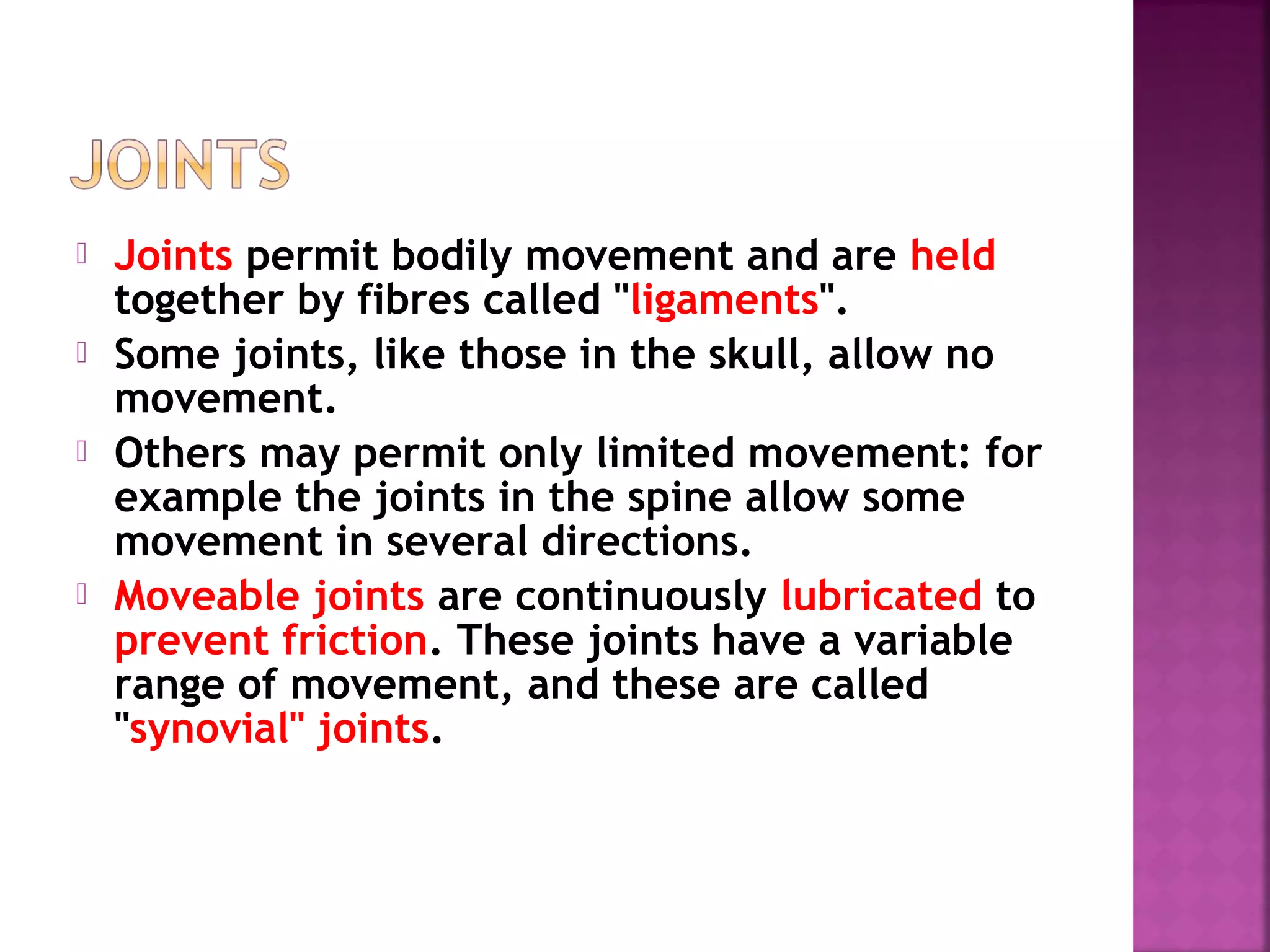 The skeletal and muscular system | PPT