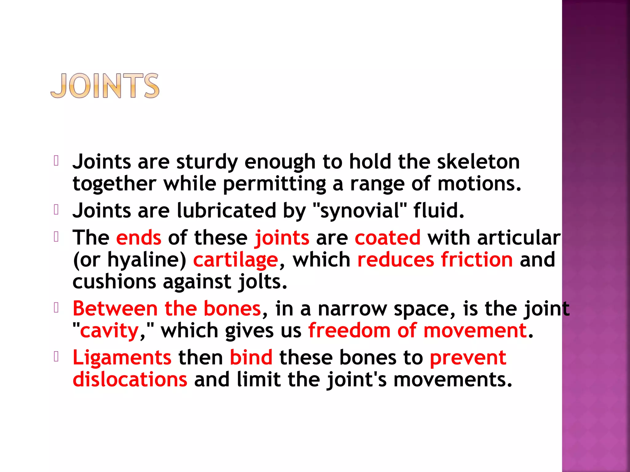 The skeletal and muscular system | PPT