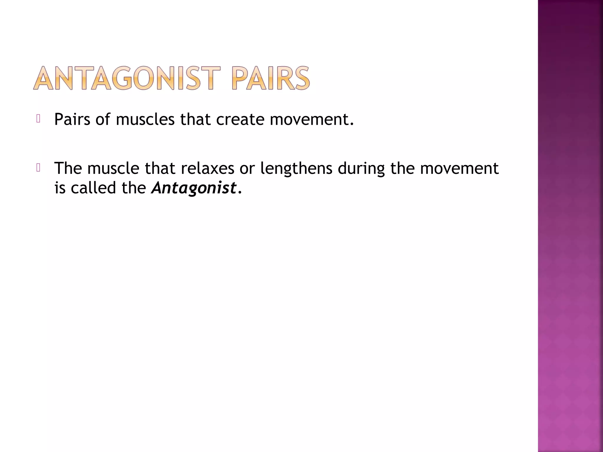 The skeletal and muscular system | PPT