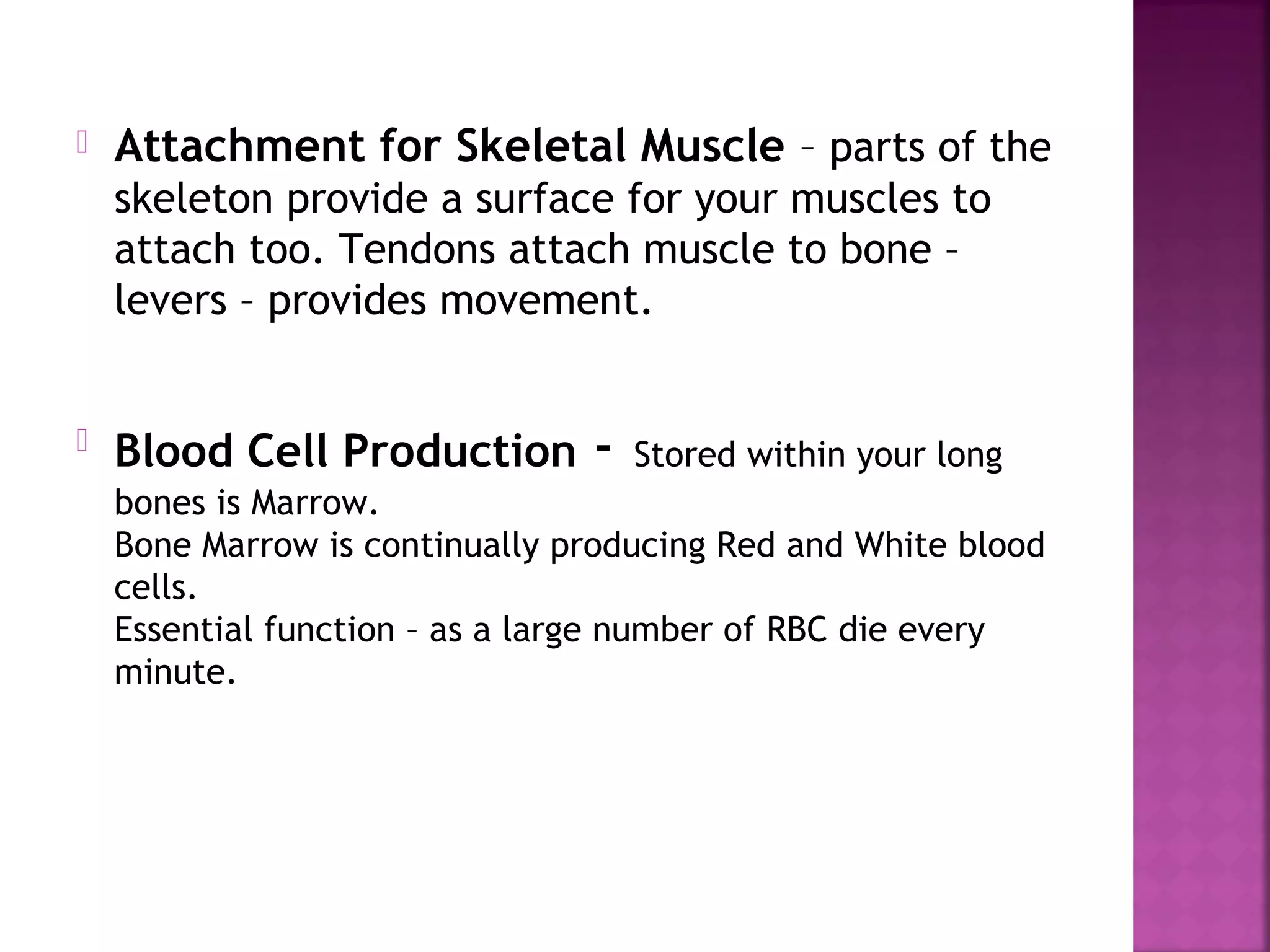 The skeletal and muscular system | PPT