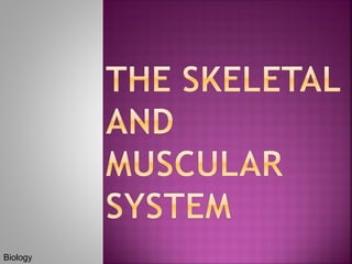 The skeletal and muscular system | PPT