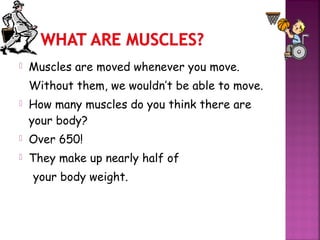 The skeletal and muscular system | PPT