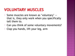 The skeletal and muscular system | PPT