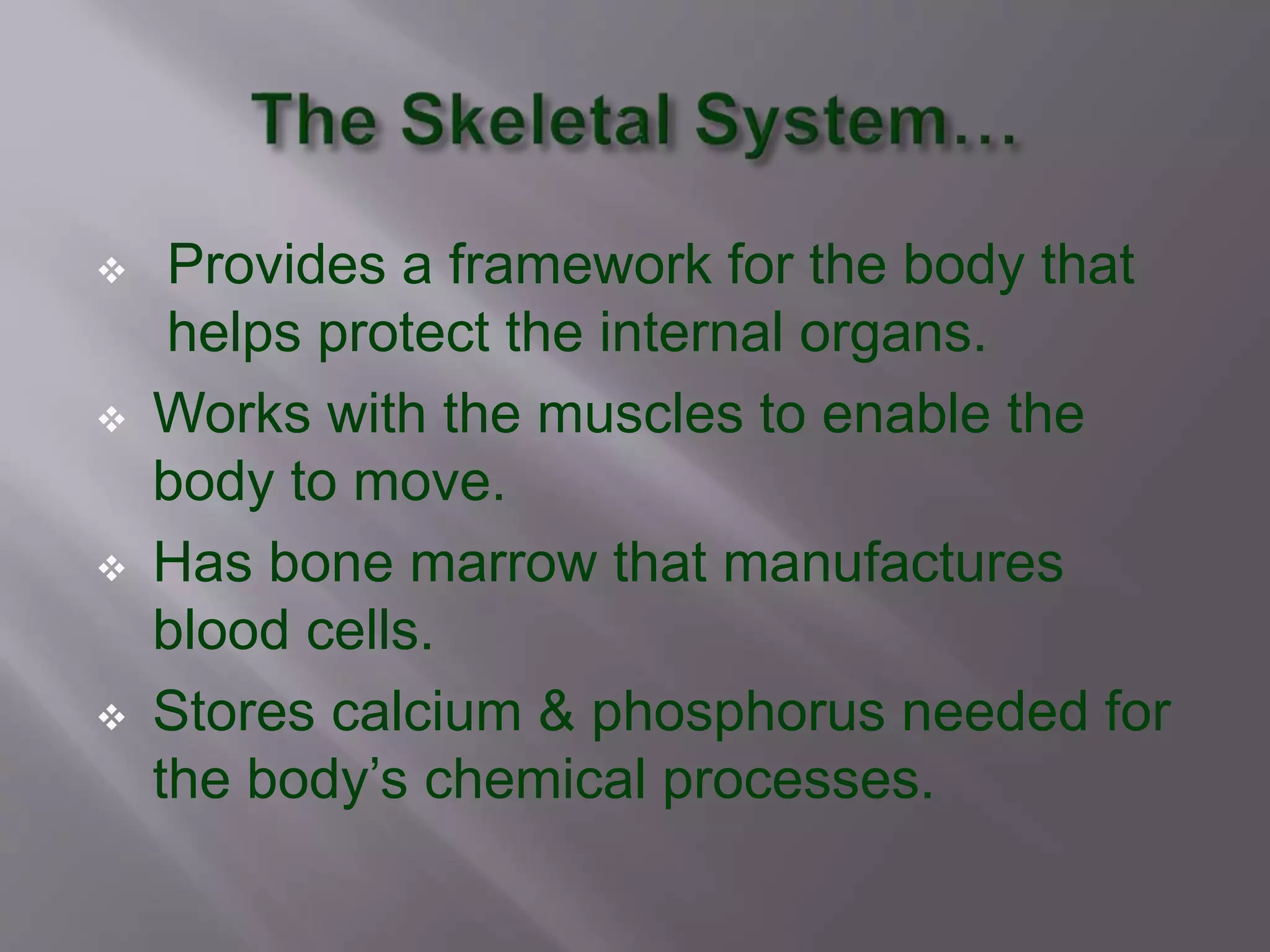 7th Grade Science "The skeletal and muscular system" | PPTX