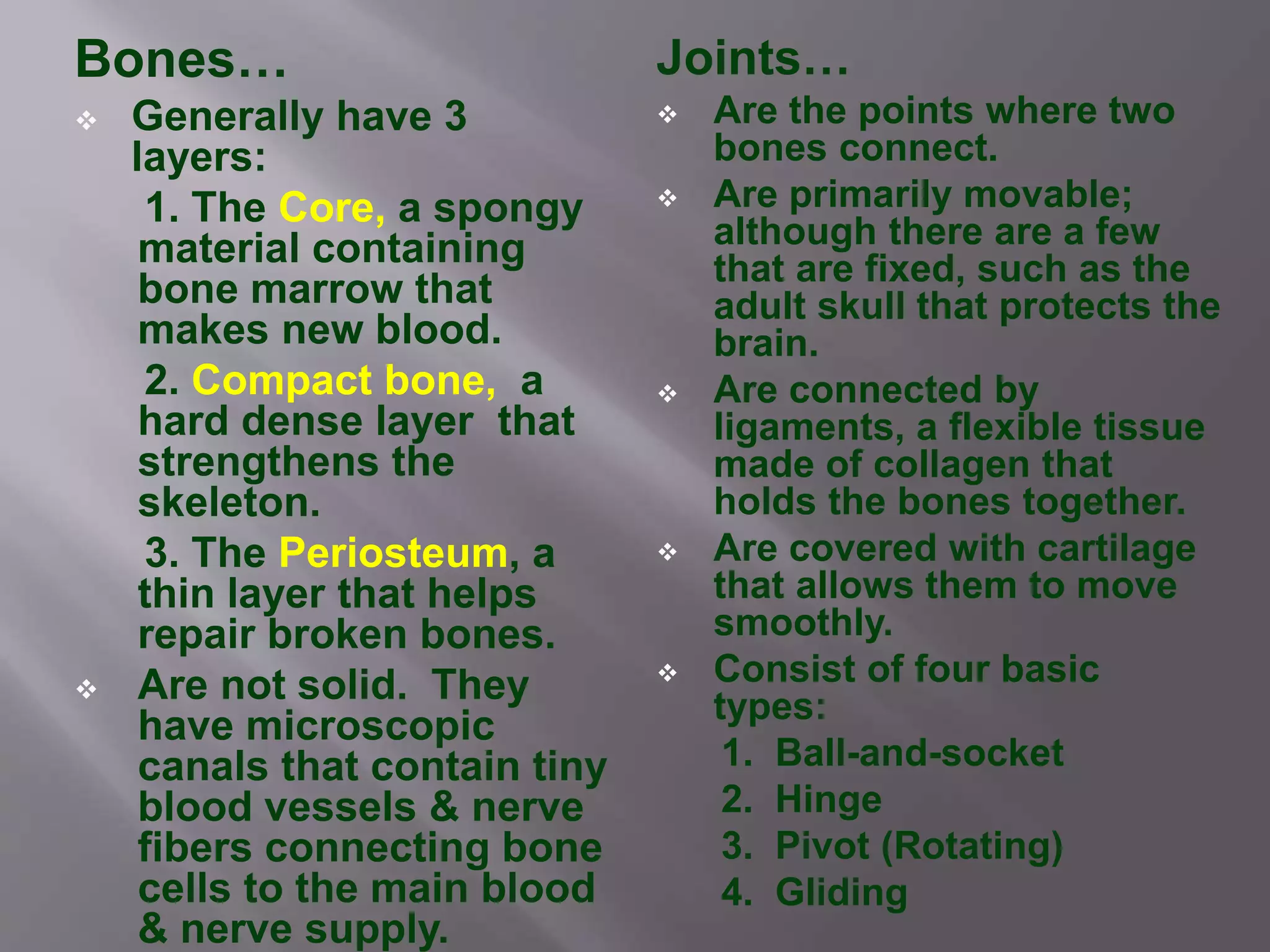 7th Grade Science "The skeletal and muscular system" | PPTX