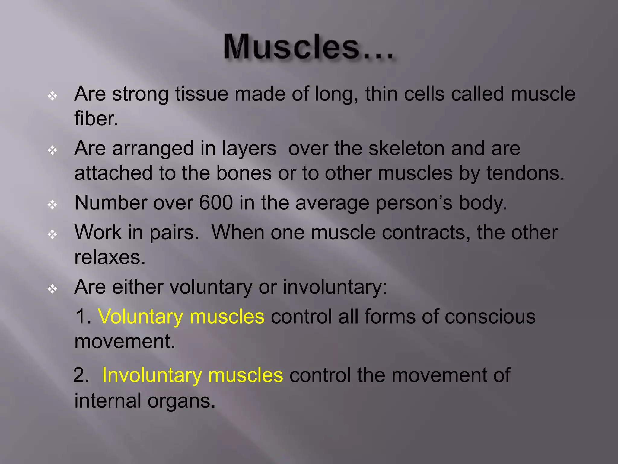 7th Grade Science "The skeletal and muscular system" | PPTX
