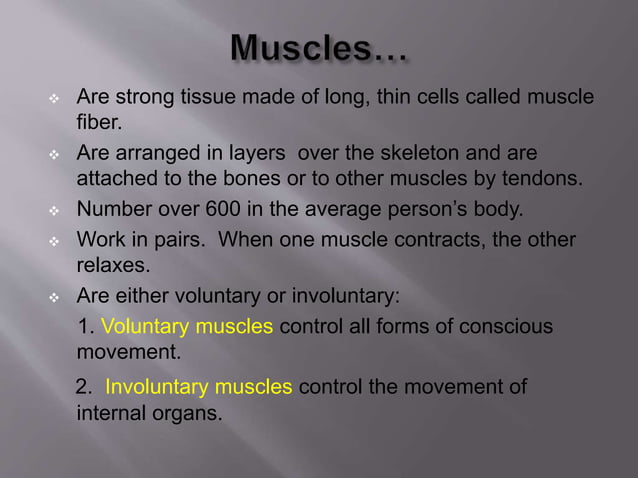 7th Grade Science "The skeletal and muscular system" | PPTX