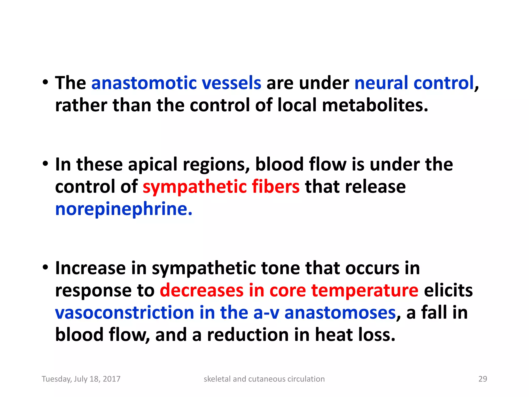 The skeletal muscle and cutaneous circulation | PPTX