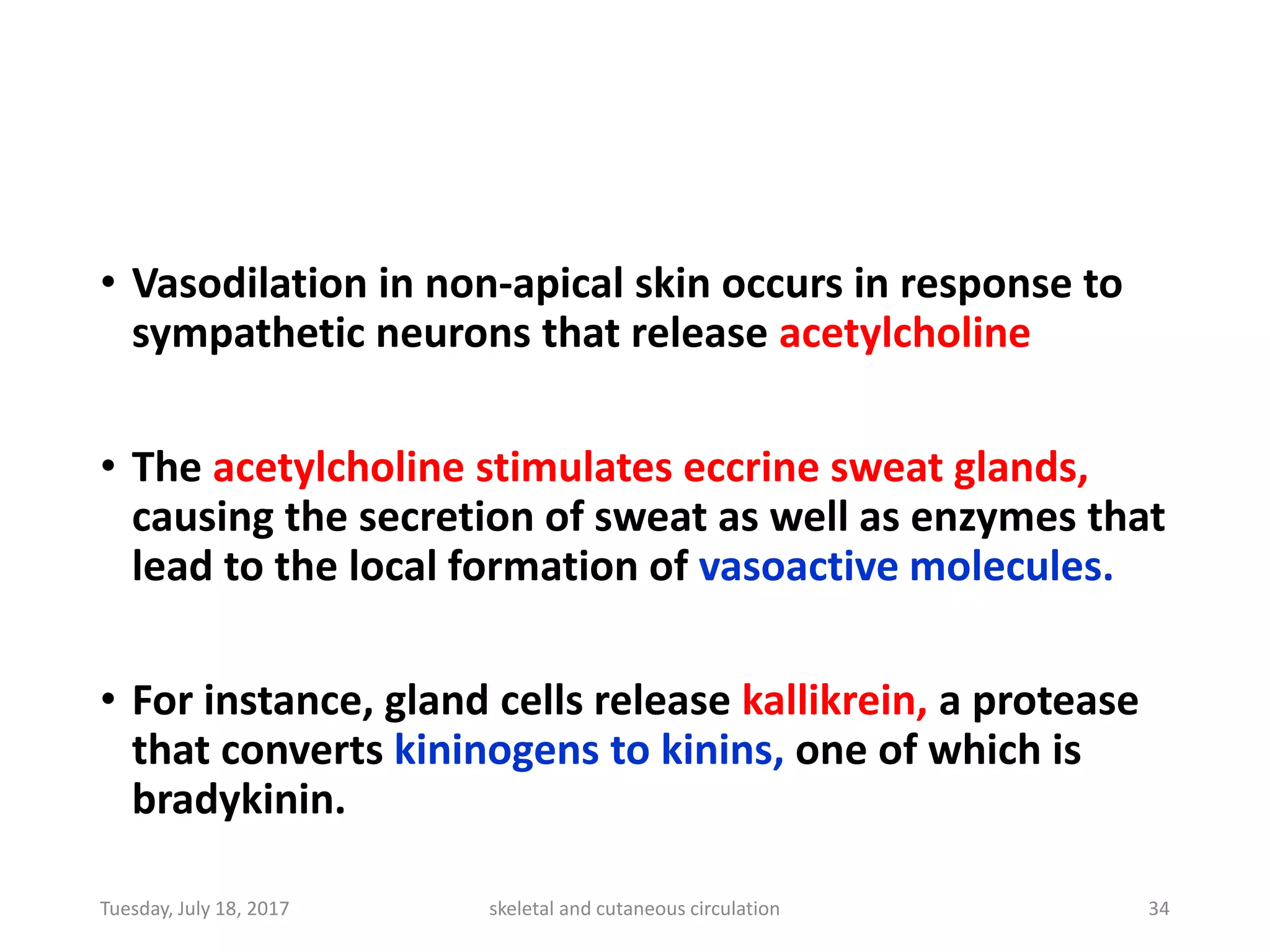 The skeletal muscle and cutaneous circulation | PPTX
