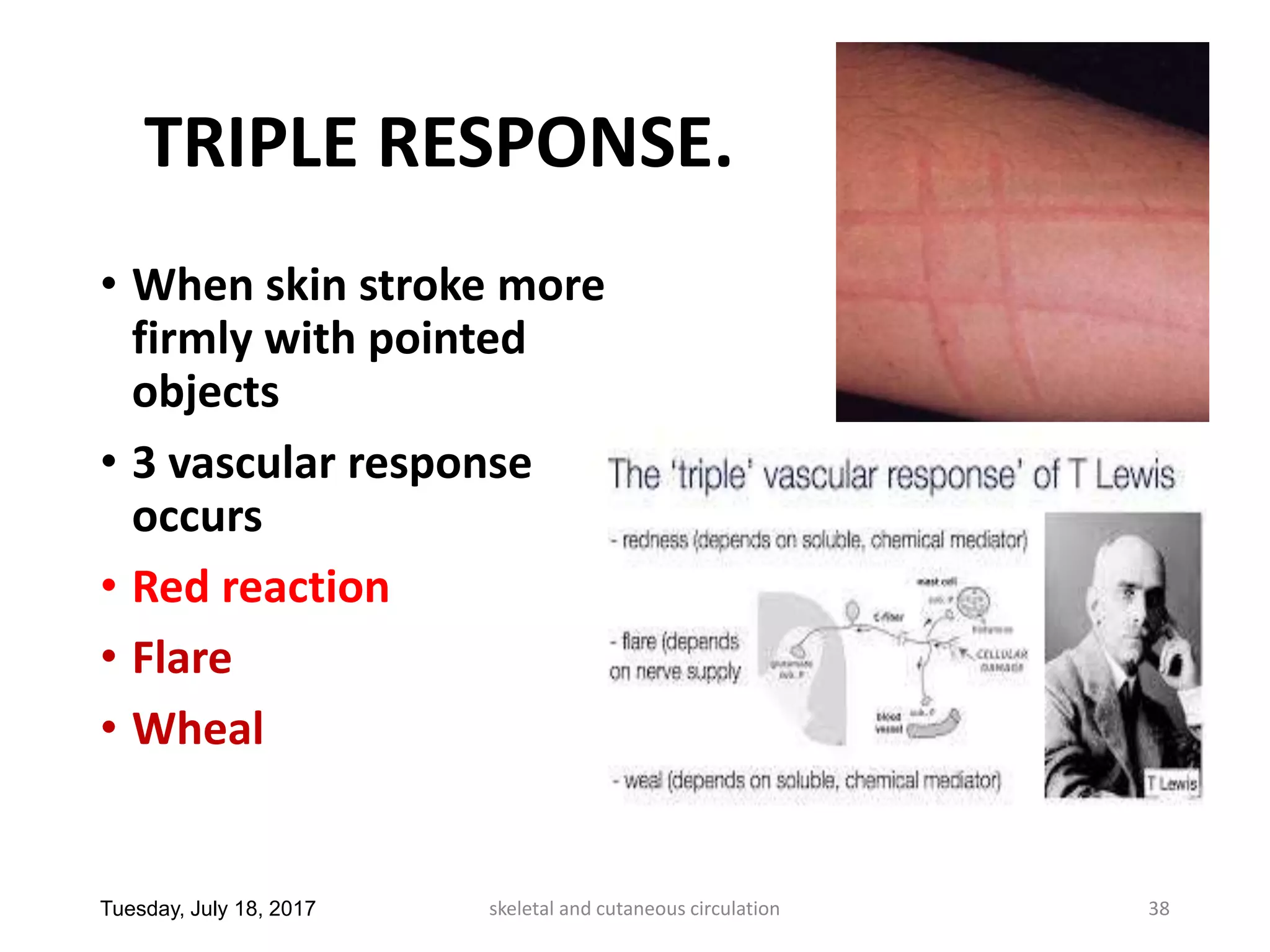The skeletal muscle and cutaneous circulation | PPTX