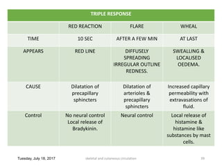 The skeletal muscle and cutaneous circulation | PPTX