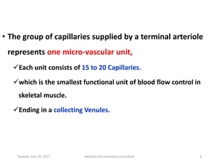 The skeletal muscle and cutaneous circulation | PPTX