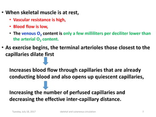 The skeletal muscle and cutaneous circulation | PPT