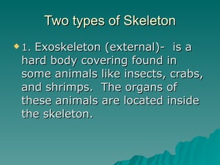 The Skeletal System | PPT