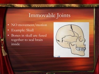 The Skeletal System | PPT