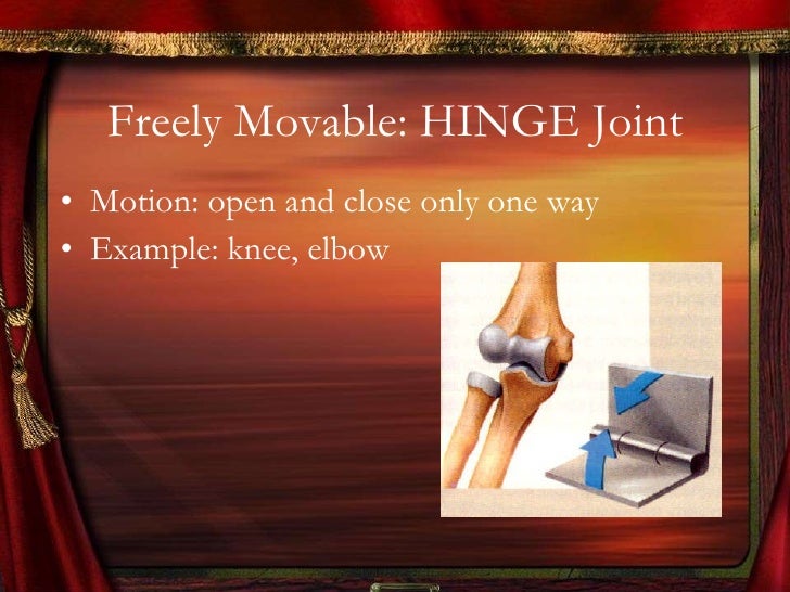 Difference between anatomical and physiological dead space - castoio