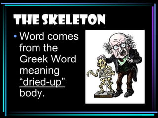 The Skeletal System | PPTX | Death, Injury, or Military Conflict ...