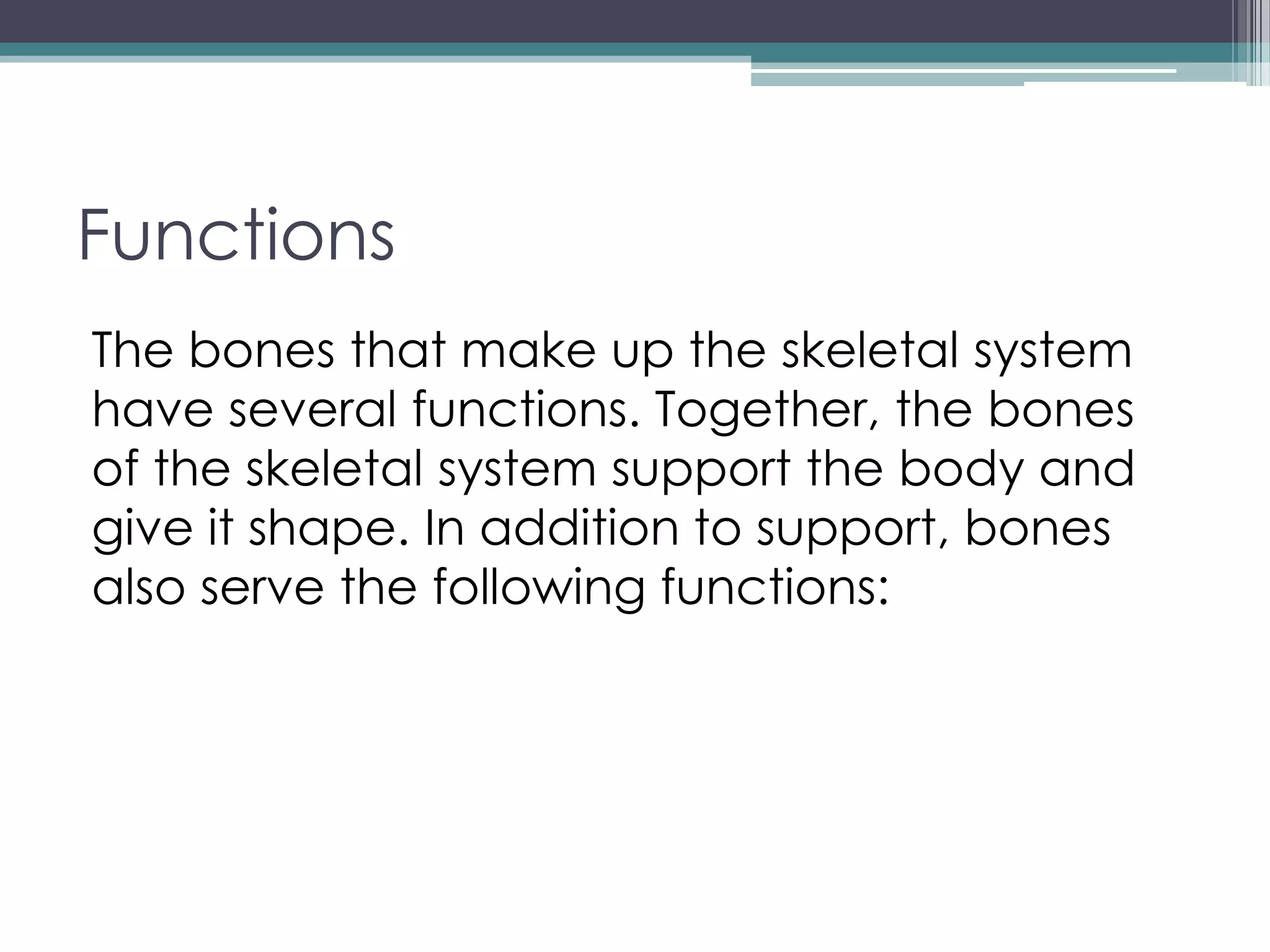 The skeletal system | PPTX | Bone and Joint Conditions | Diseases and ...