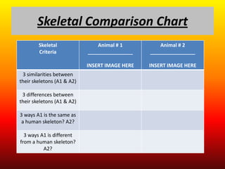 The skeletal system | PPTX