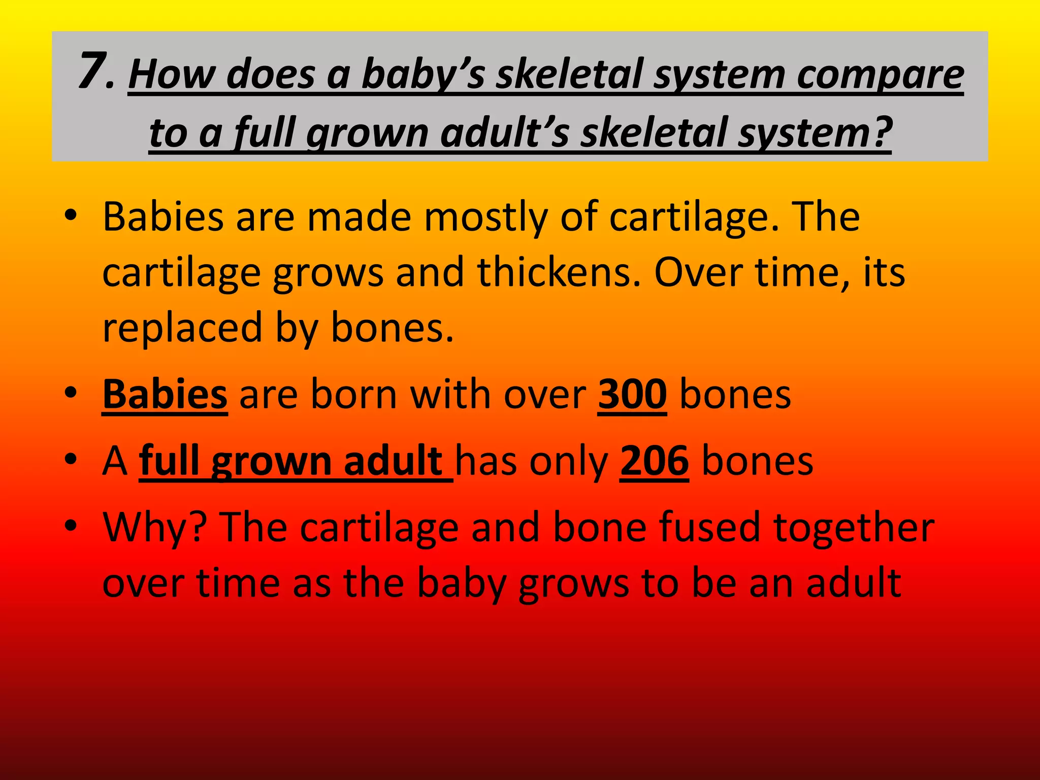 The skeletal system | PPTX