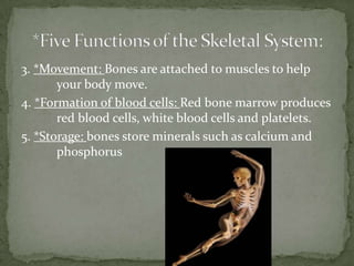 The skeletal system | PPTX