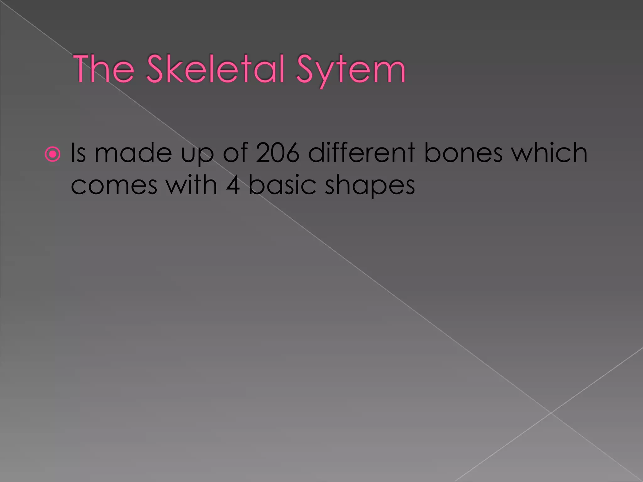 The skeletal system | PPT
