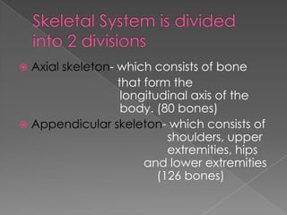 The skeletal system | PPT
