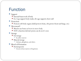 The skeletal system | PPT