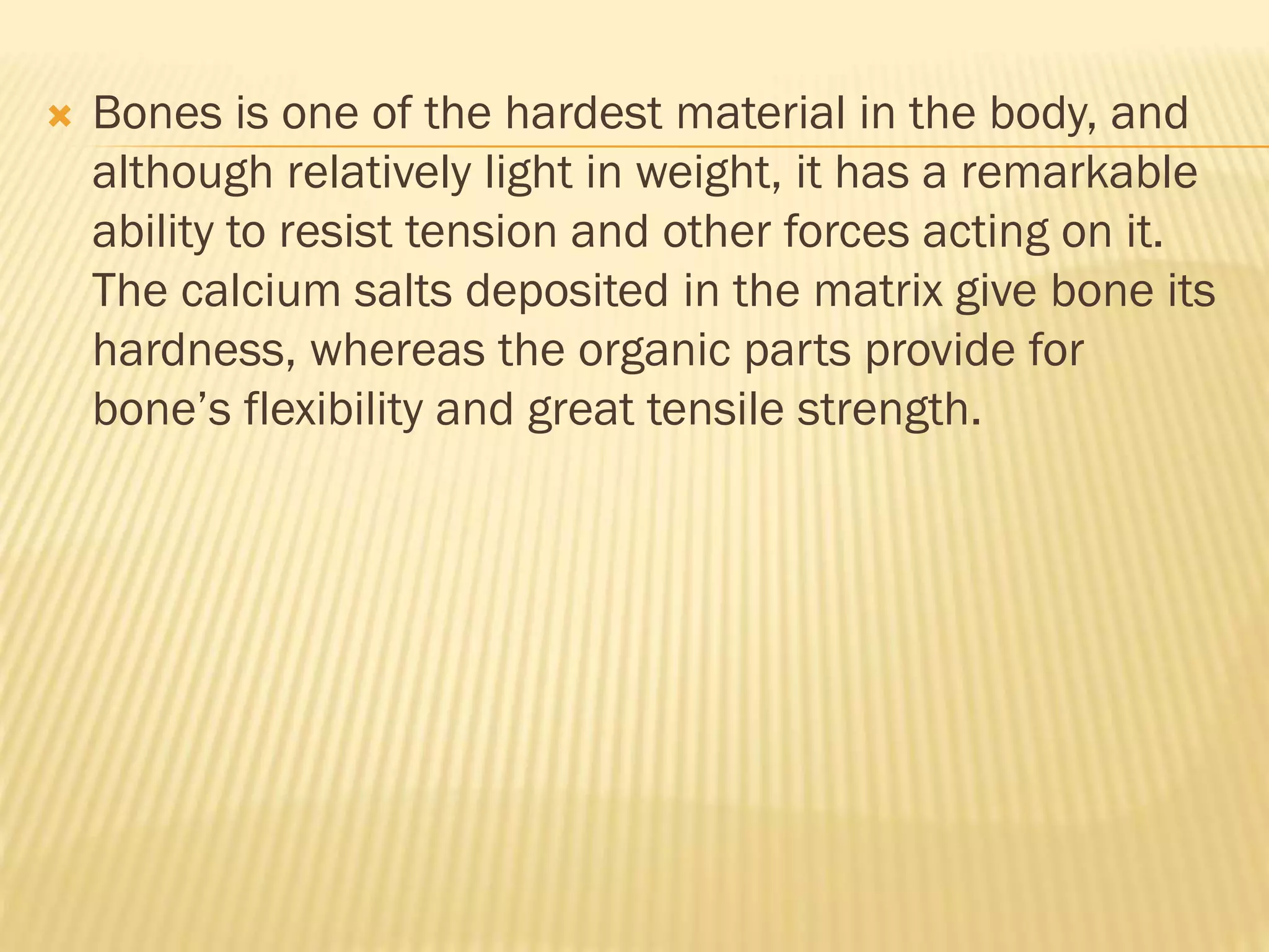 The skeletal system | PPTX