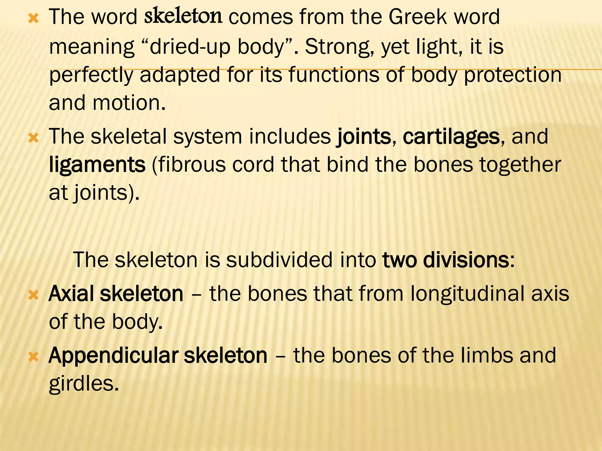The skeletal system | PPTX
