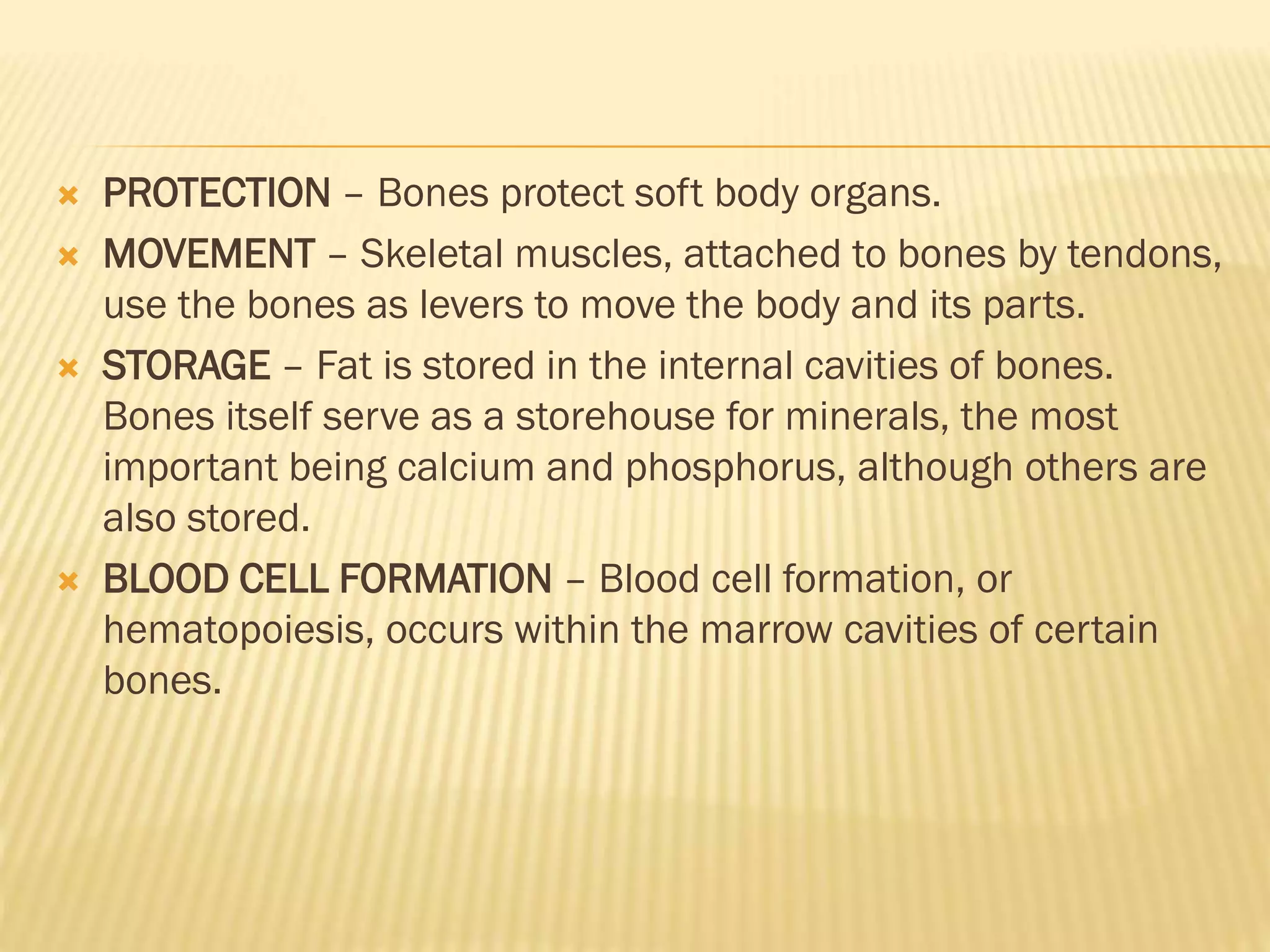 The skeletal system | PPTX