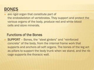 The skeletal system | PPTX | Death, Injury, or Military Conflict ...