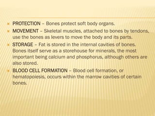 The skeletal system | PPTX | Death, Injury, or Military Conflict ...