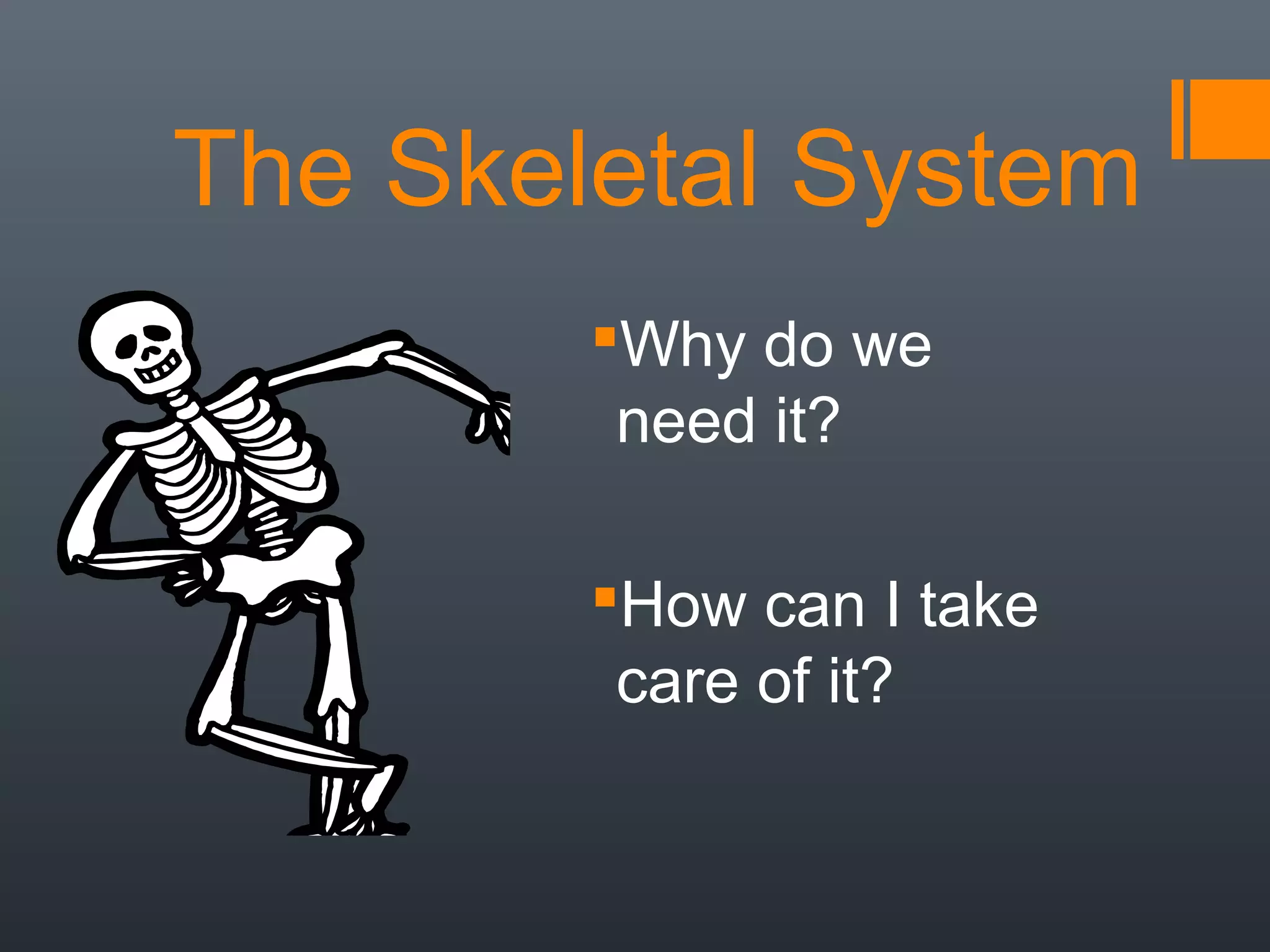 The skeletal system | PPT