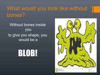 The skeletal system | PPT