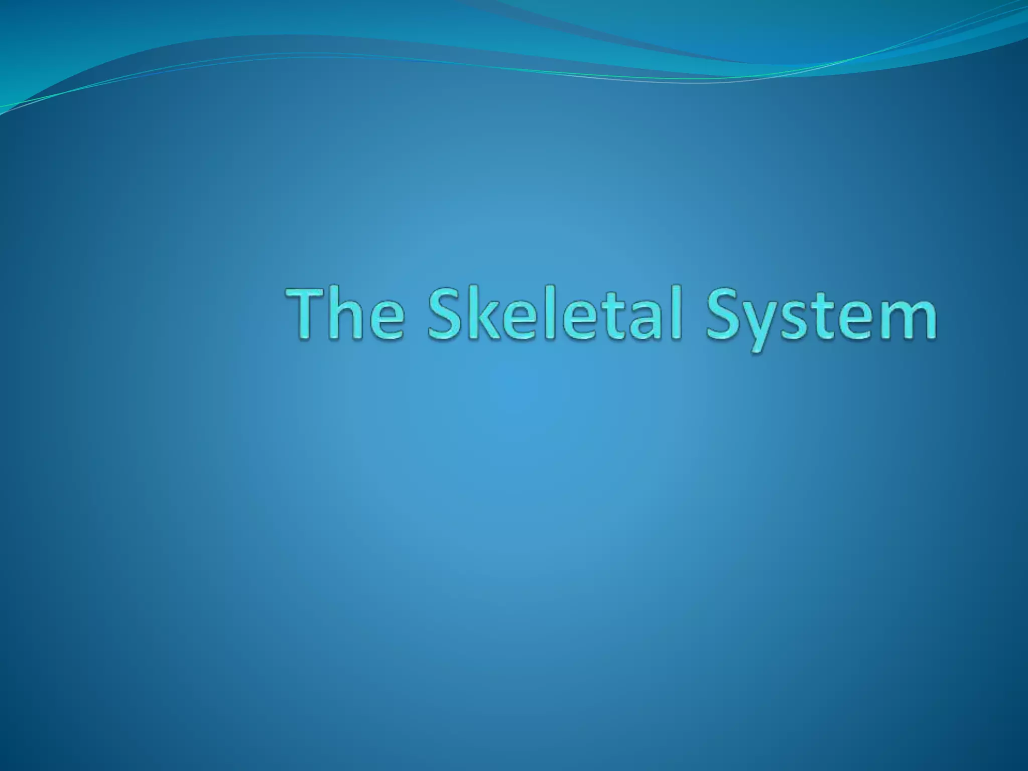 The skeletal system | PPTX