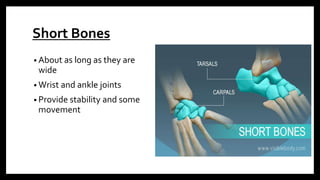 The skeletal system | PPT