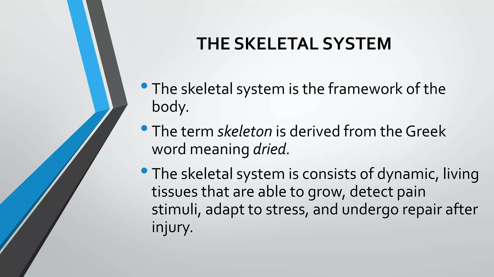 The Skeletal System | PPT