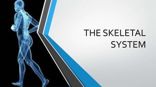 The Skeletal System | PPT