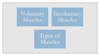 The skeletal system | PPT