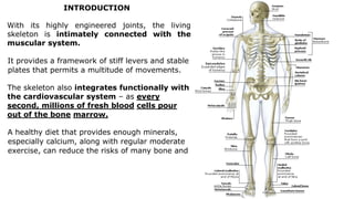 THE SKELETAL SYSTEM Bachelors zoology botany chemistry | PDF