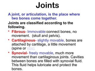 THE SKELETAL SYSTEM.pptx bones of the human body. | PPTX