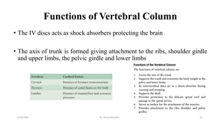 The Skeletal System and the Joints- III.pdf