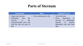 The Skeletal System and the Joints- III.pdf
