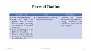The Skeletal System and the Joints- III.pdf