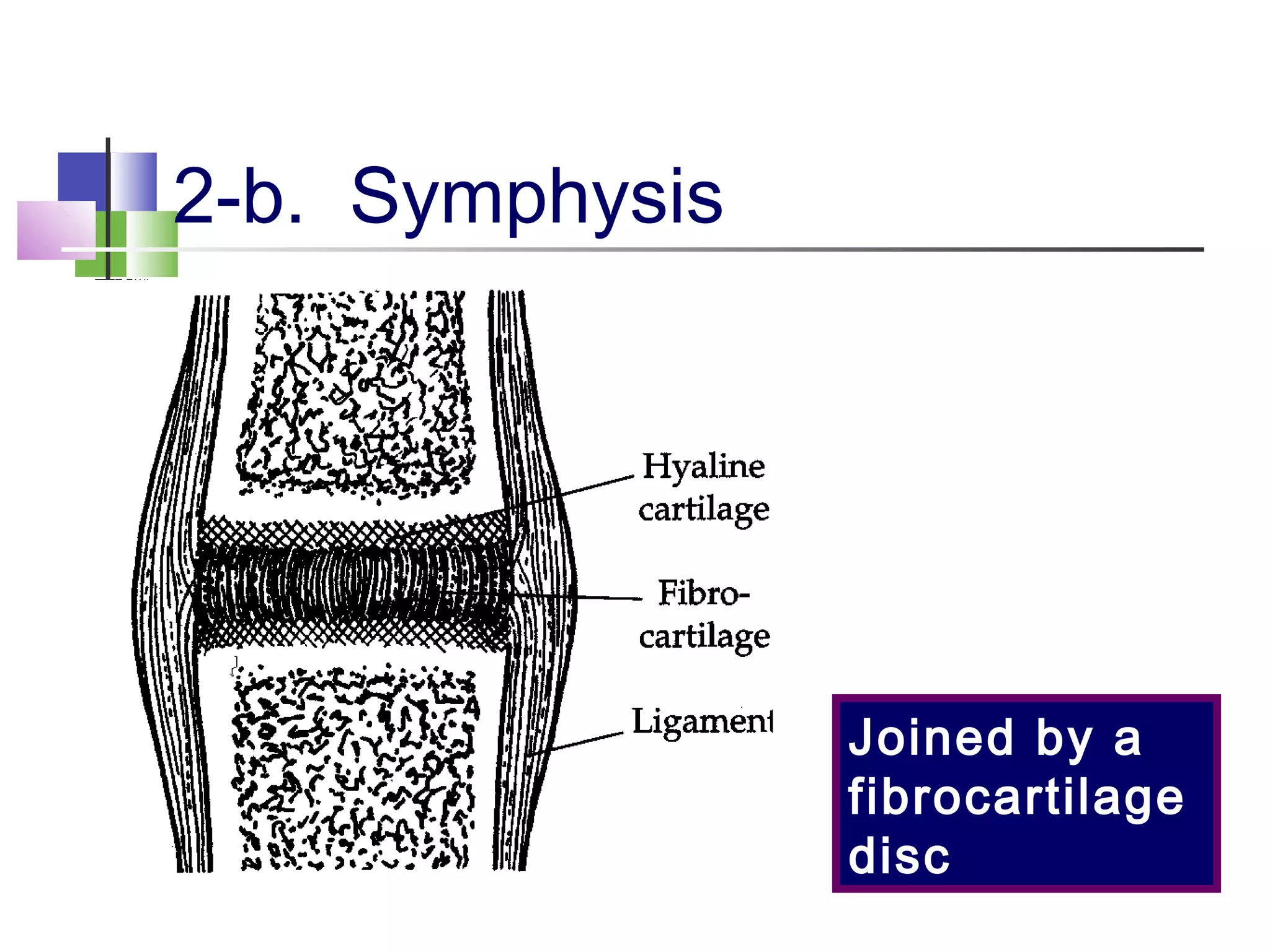 The skeletal system system level | PPT
