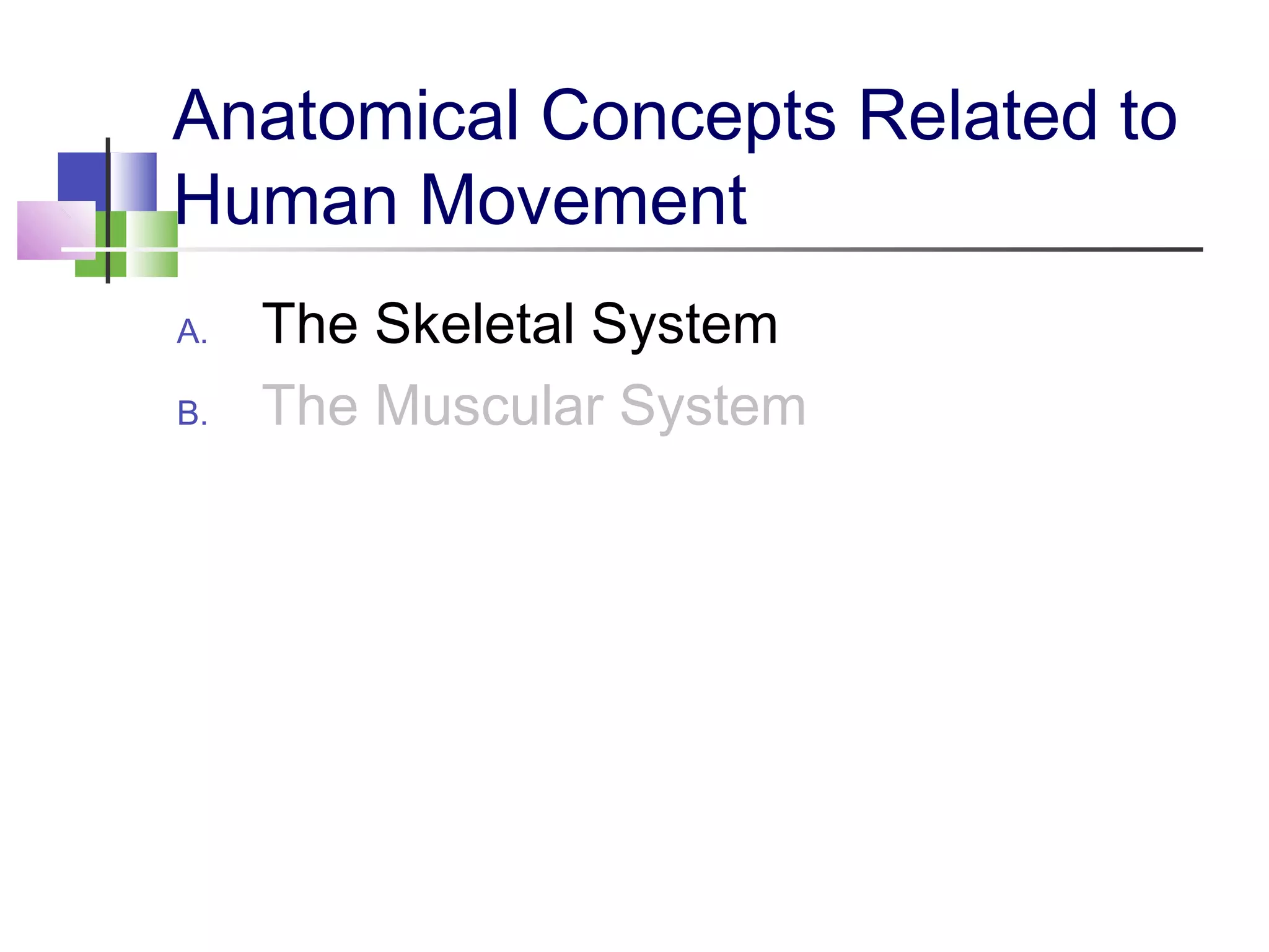 The skeletal system system level | PPT