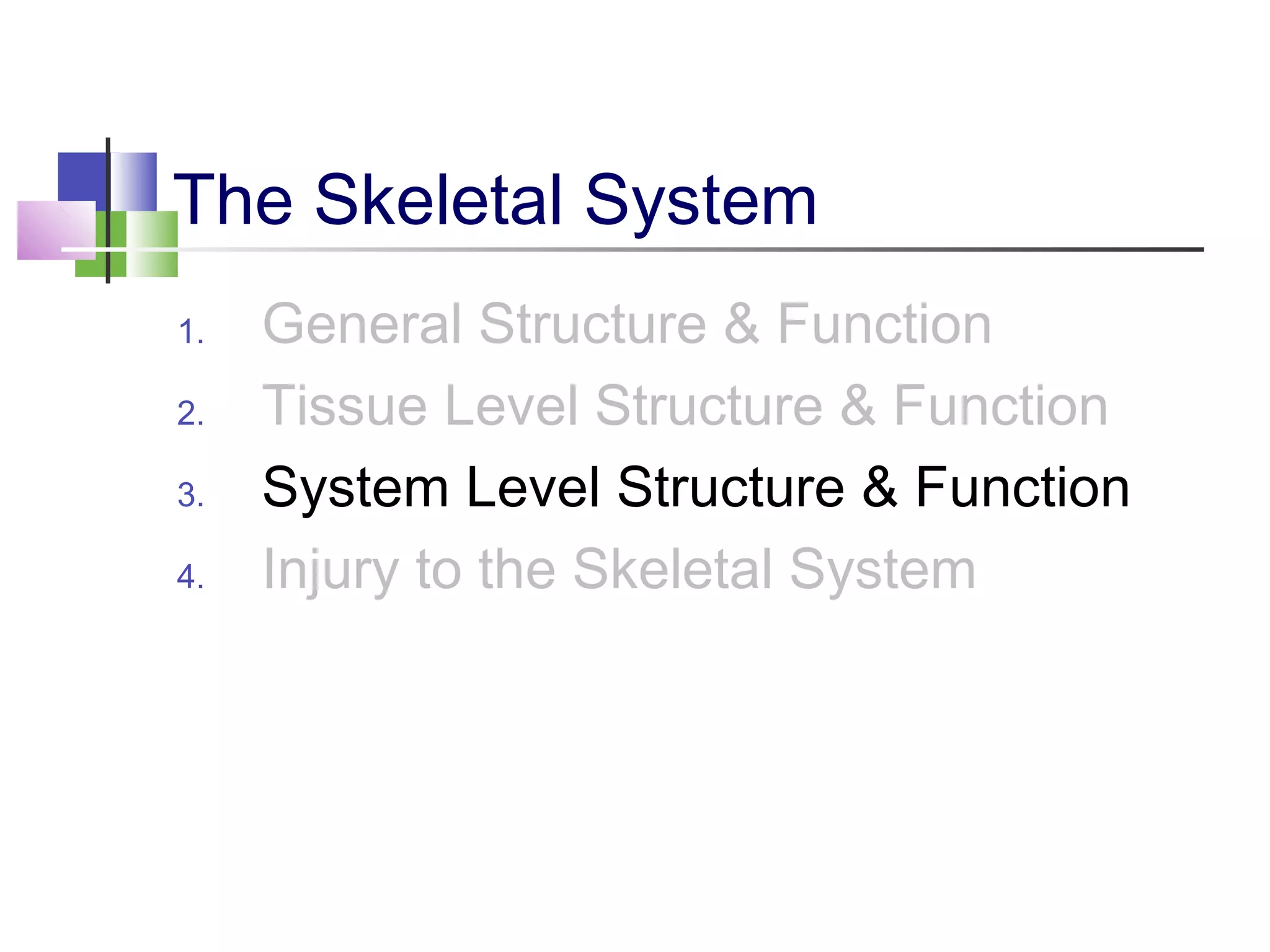 The skeletal system system level | PPT