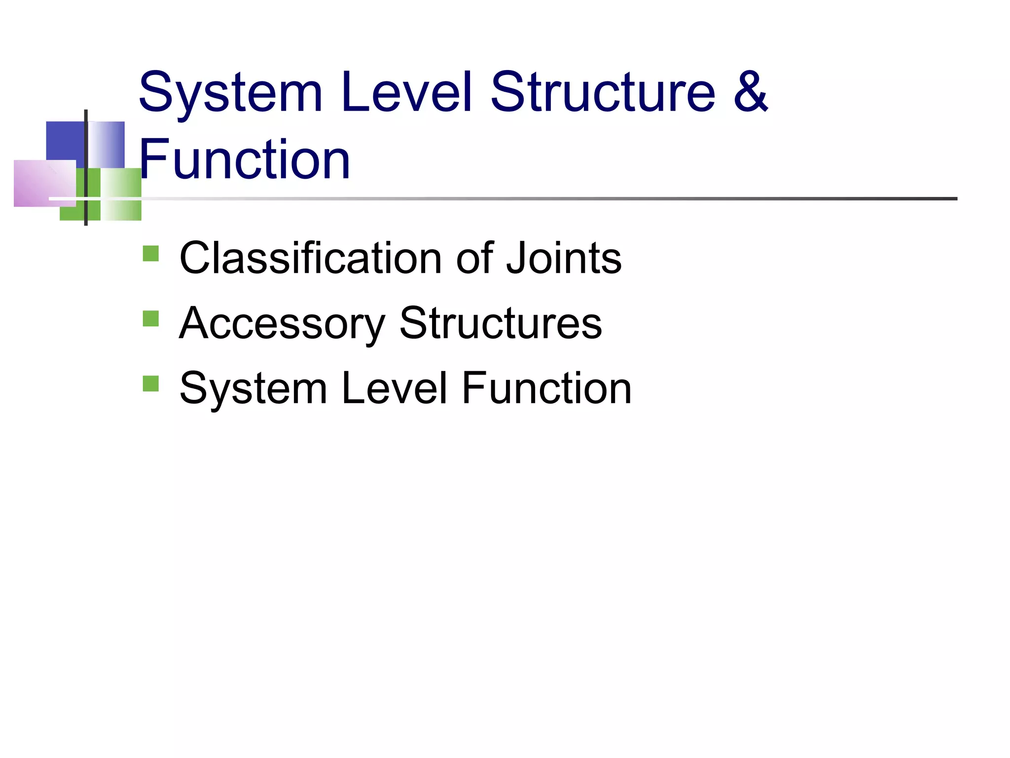 The skeletal system system level | PPT